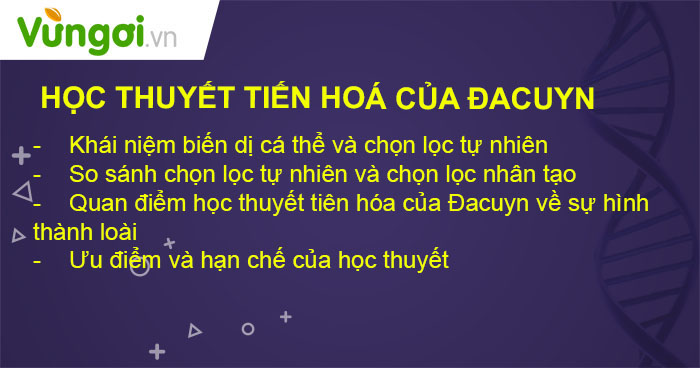 Lý thuyết học thuyết tiến hóa dacuyn giải quyết vấn đề undefined