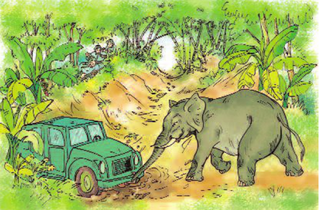 Lý thuyết tập đọc: voi nhà tiếng việt 2