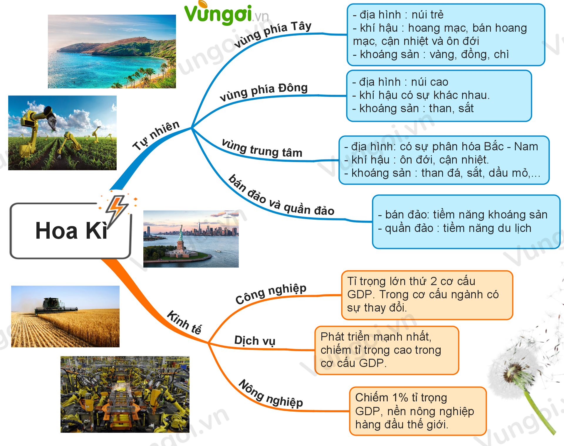 Lý thuyết sơ đồ tư duy hoa kì địa 11