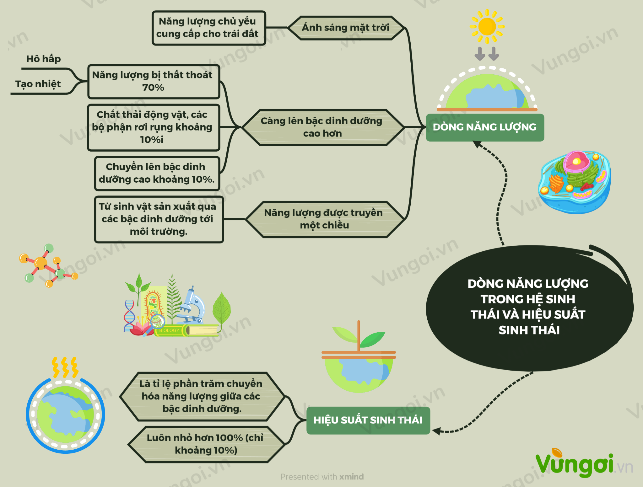 Lý thuyết sơ đồ tư duy dòng năng lượng trong hệ sinh thái sinh 12