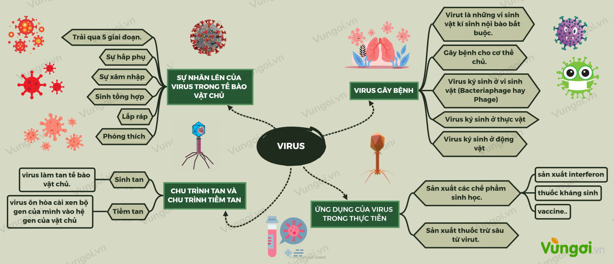 Lý thuyết sơ đồ tư duy virus sinh 10